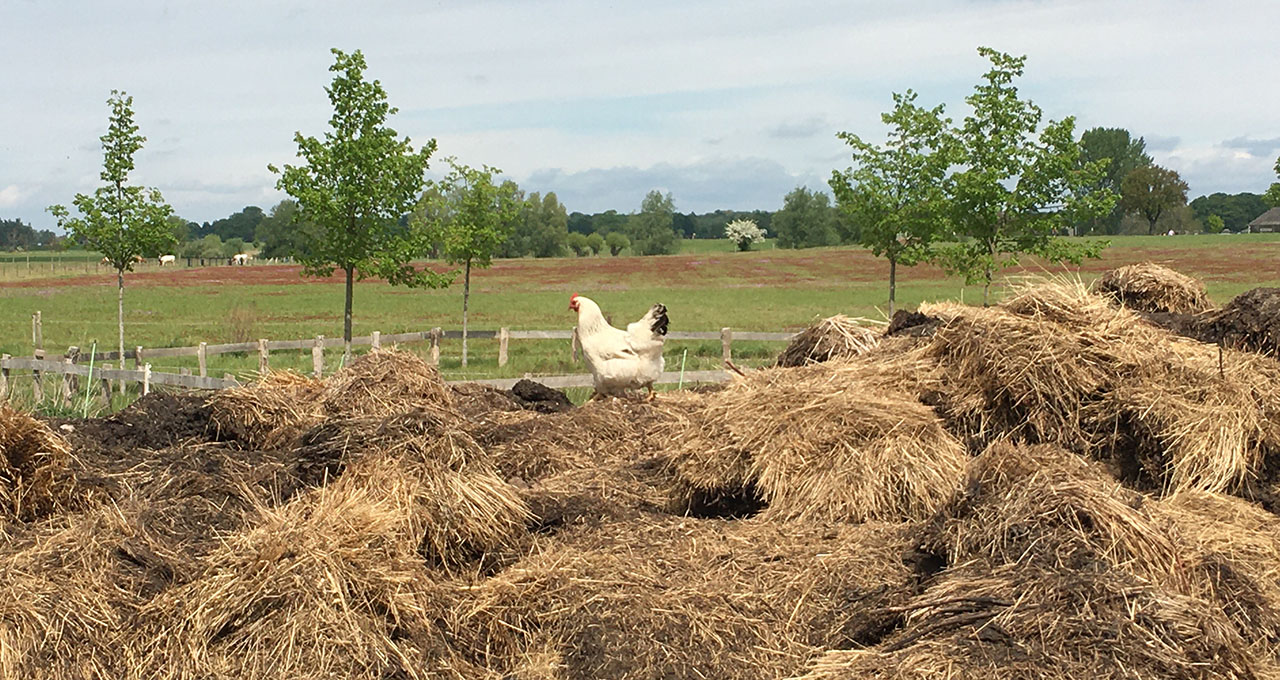 Help je mee? - Caring Farmers